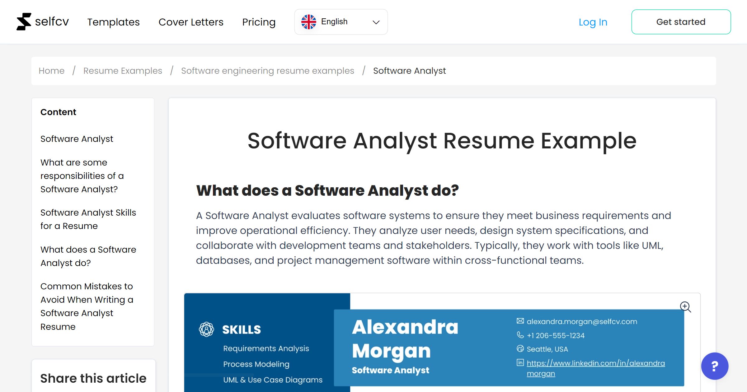 Software Analyst Resume Example