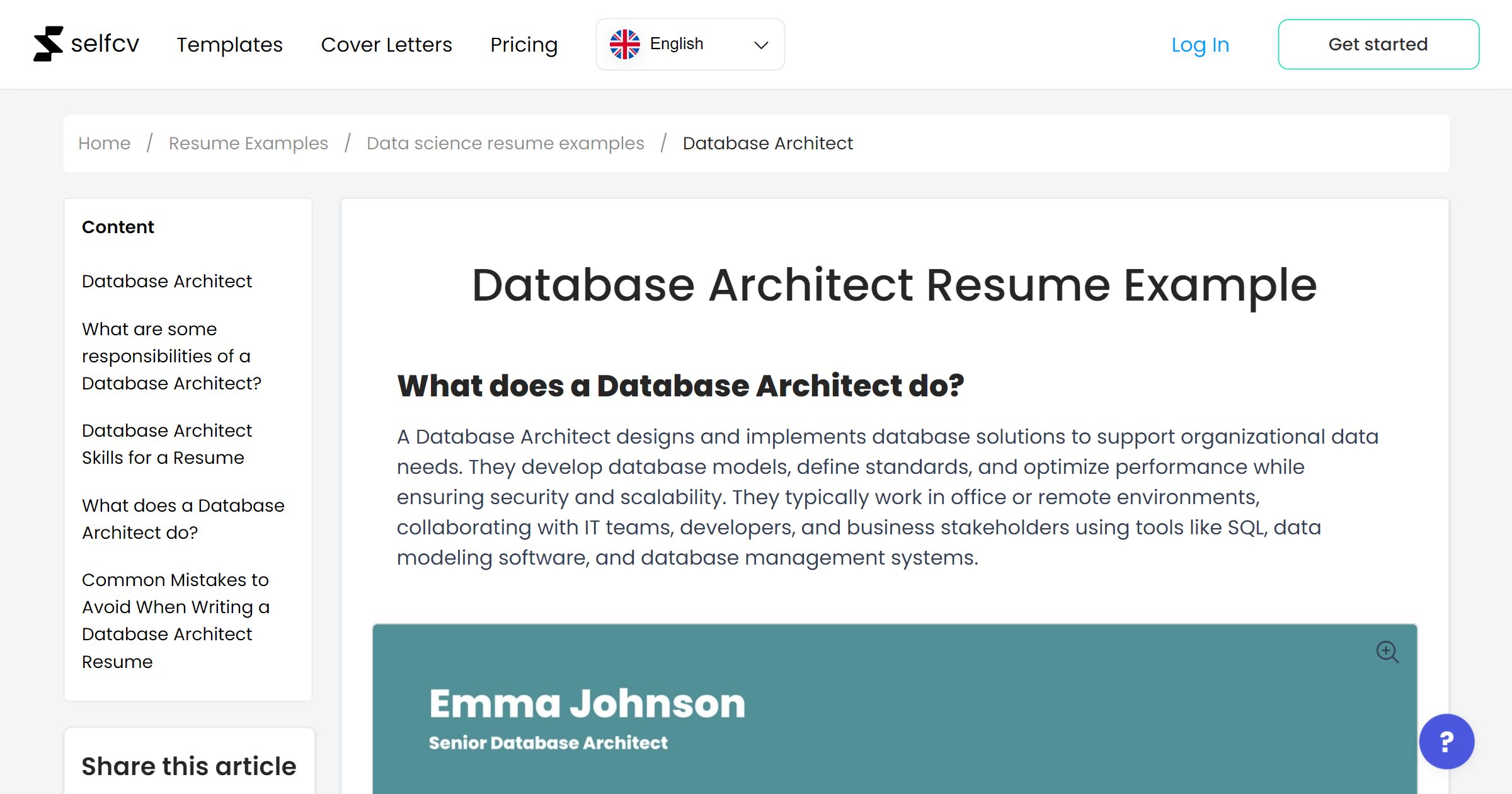 Database Architect Resume Example