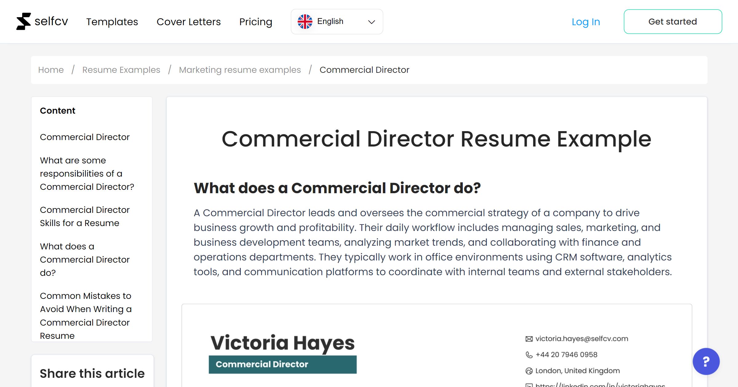 Commercial Director Resume Example