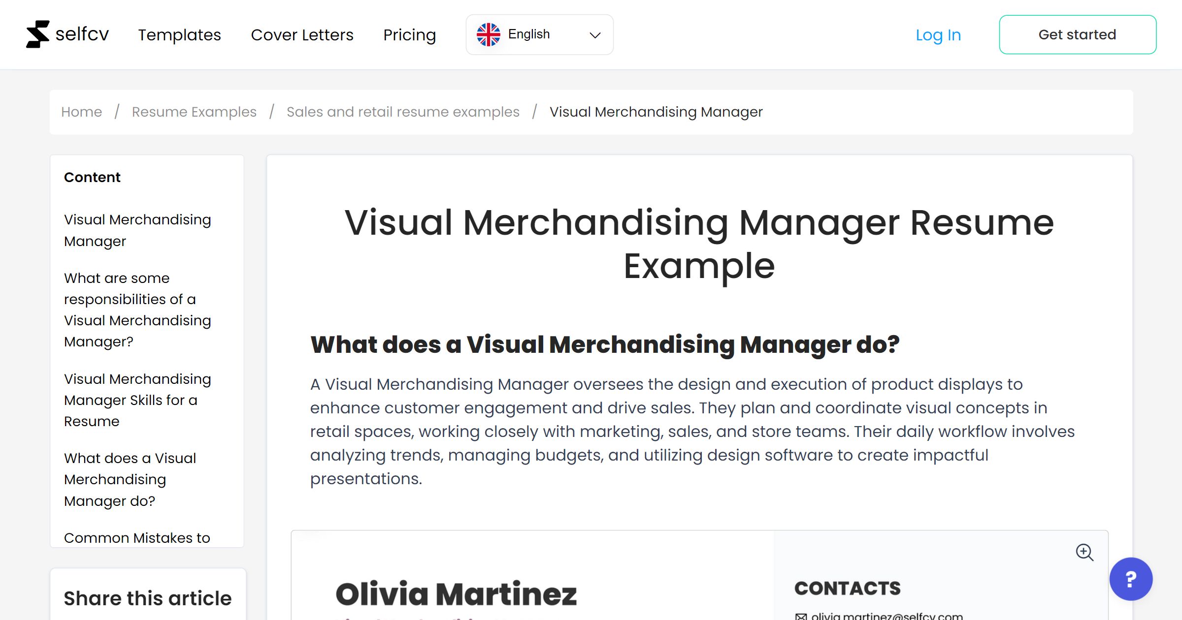 Visual Merchandising Manager Resume Example