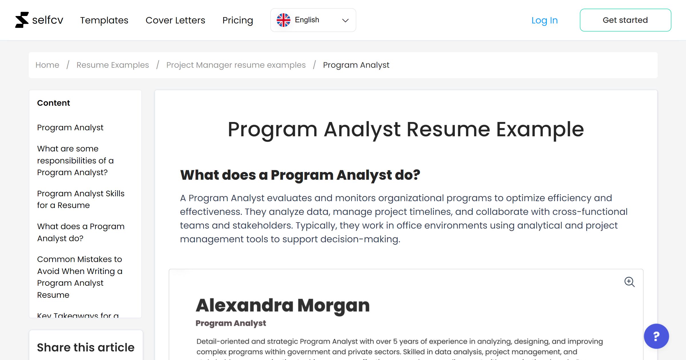 Program Analyst Resume Example