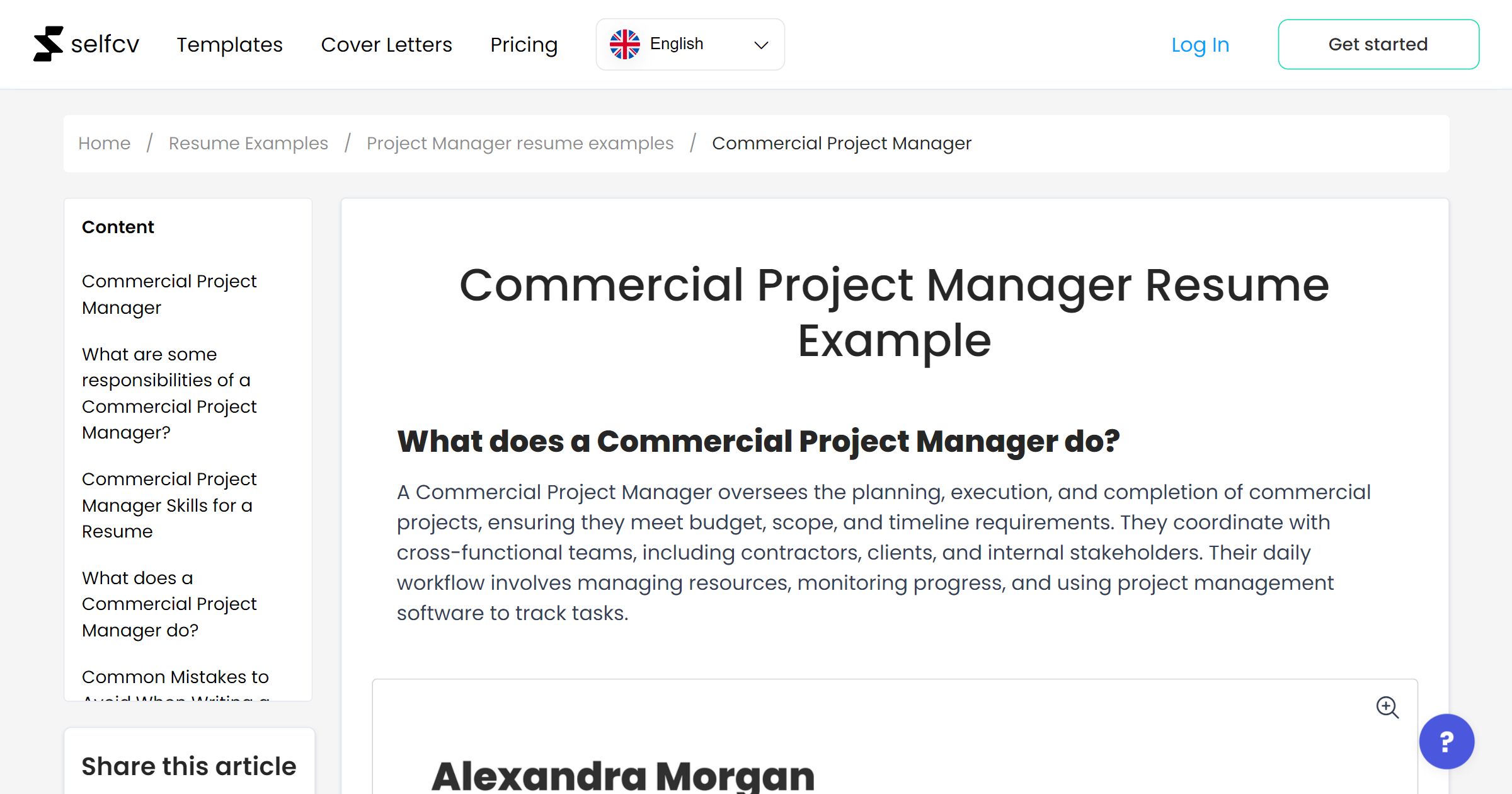 Commercial Project Manager Resume Example