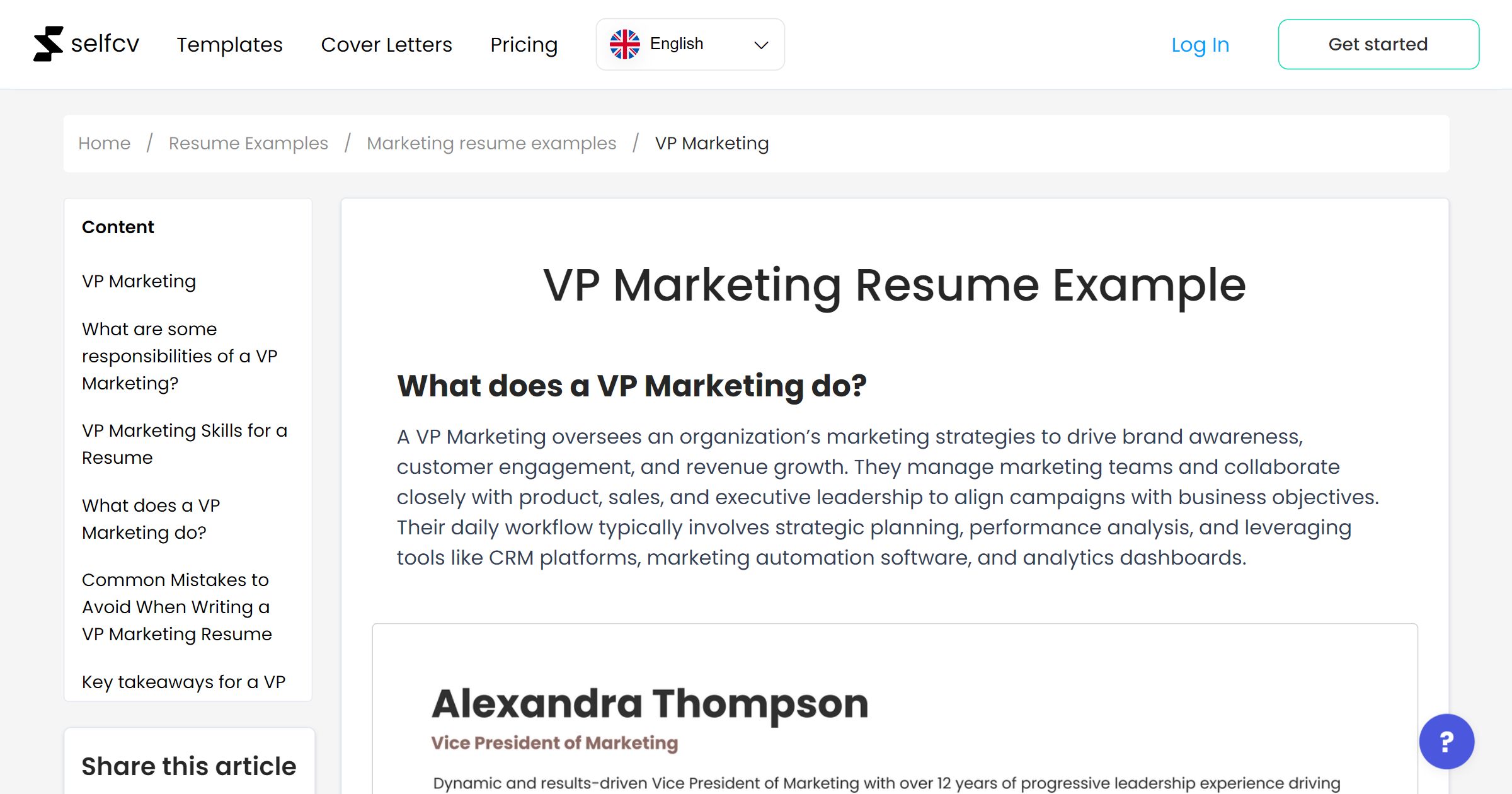 VP Marketing Resume Example