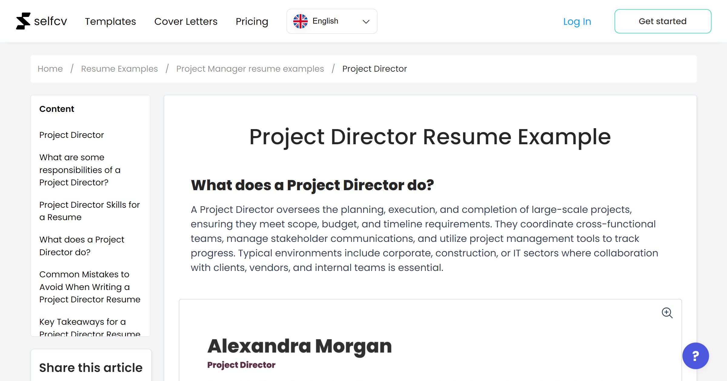 Project Director Resume Example