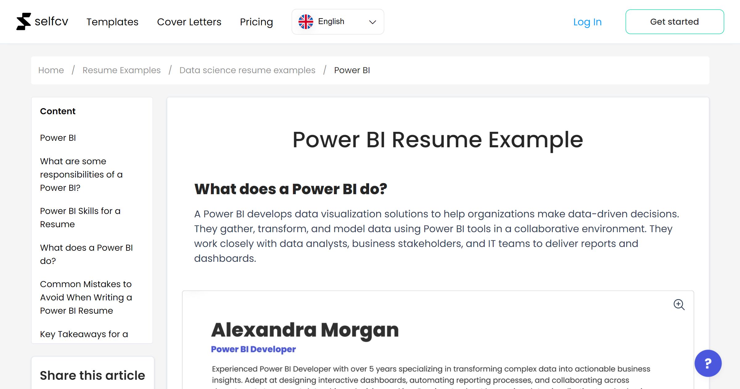 Power BI Resume Example