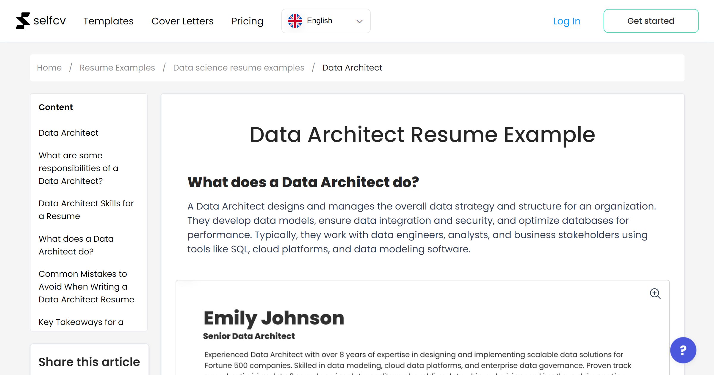 Data Architect Resume Example