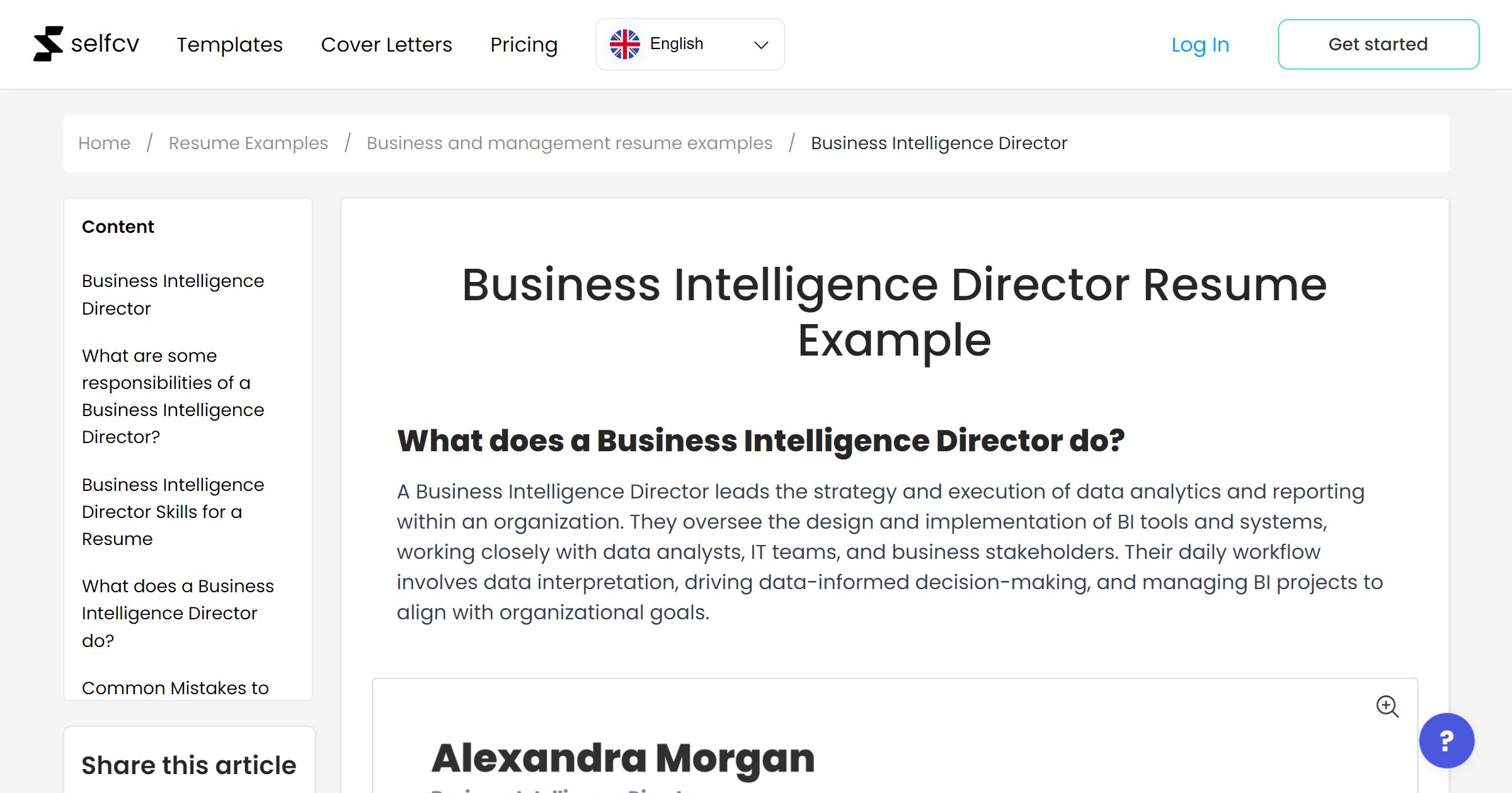 Business Intelligence Director Resume Example