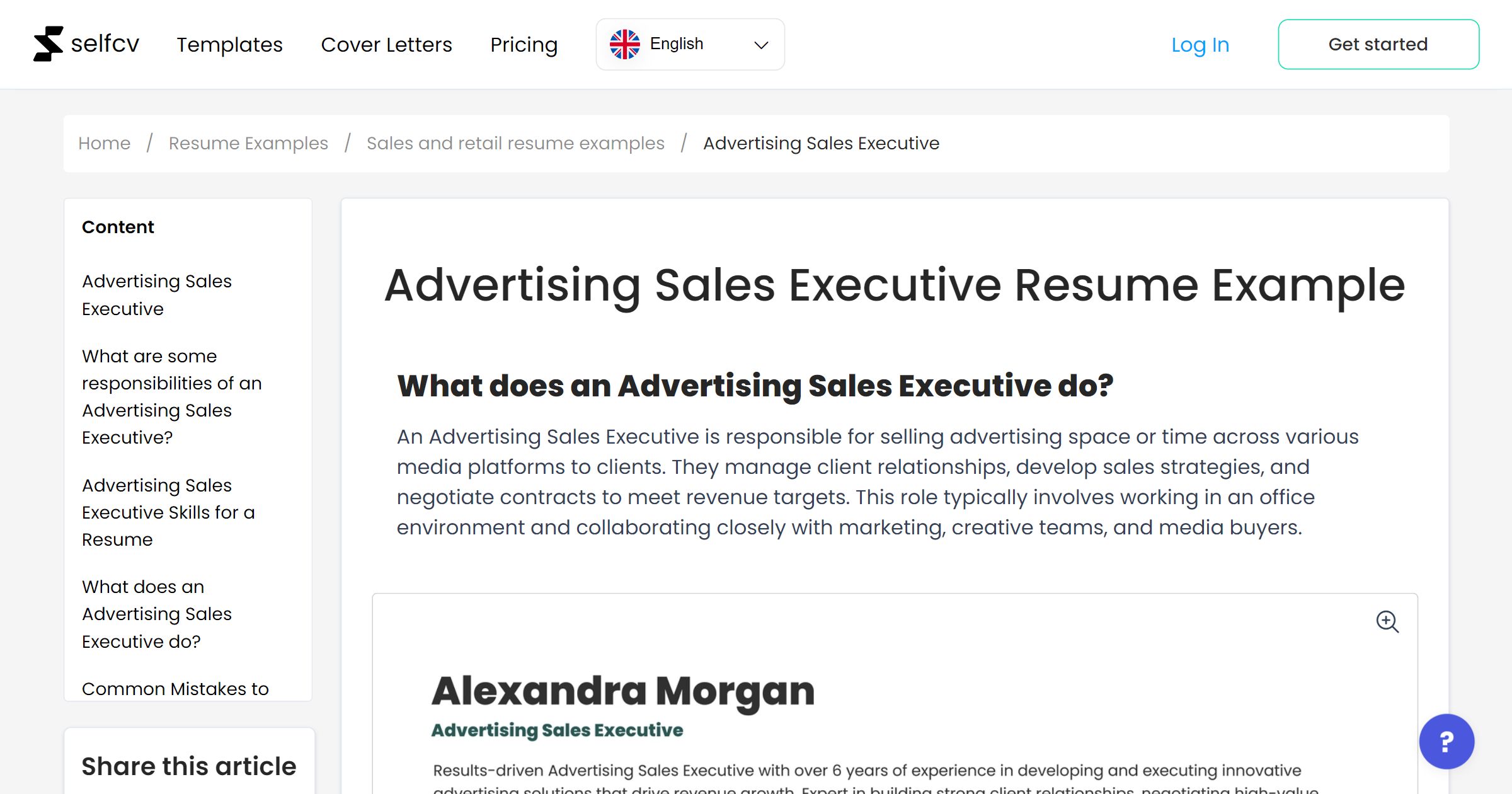 Advertising Sales Executive Resume Example