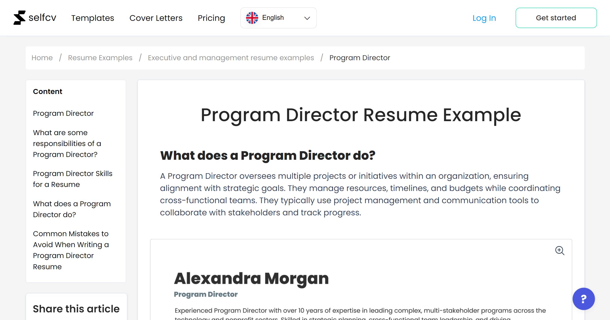 Program Director Resume Example