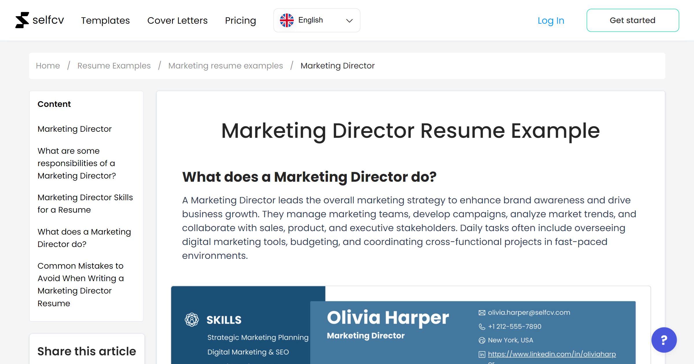 Marketing Director Resume Example
