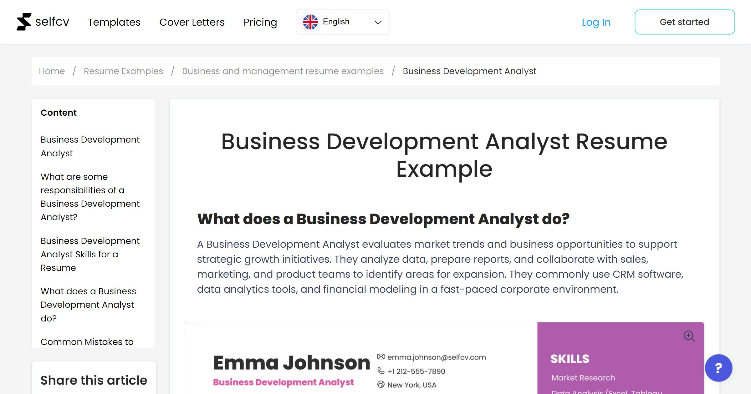 Business Development Analyst Resume Example