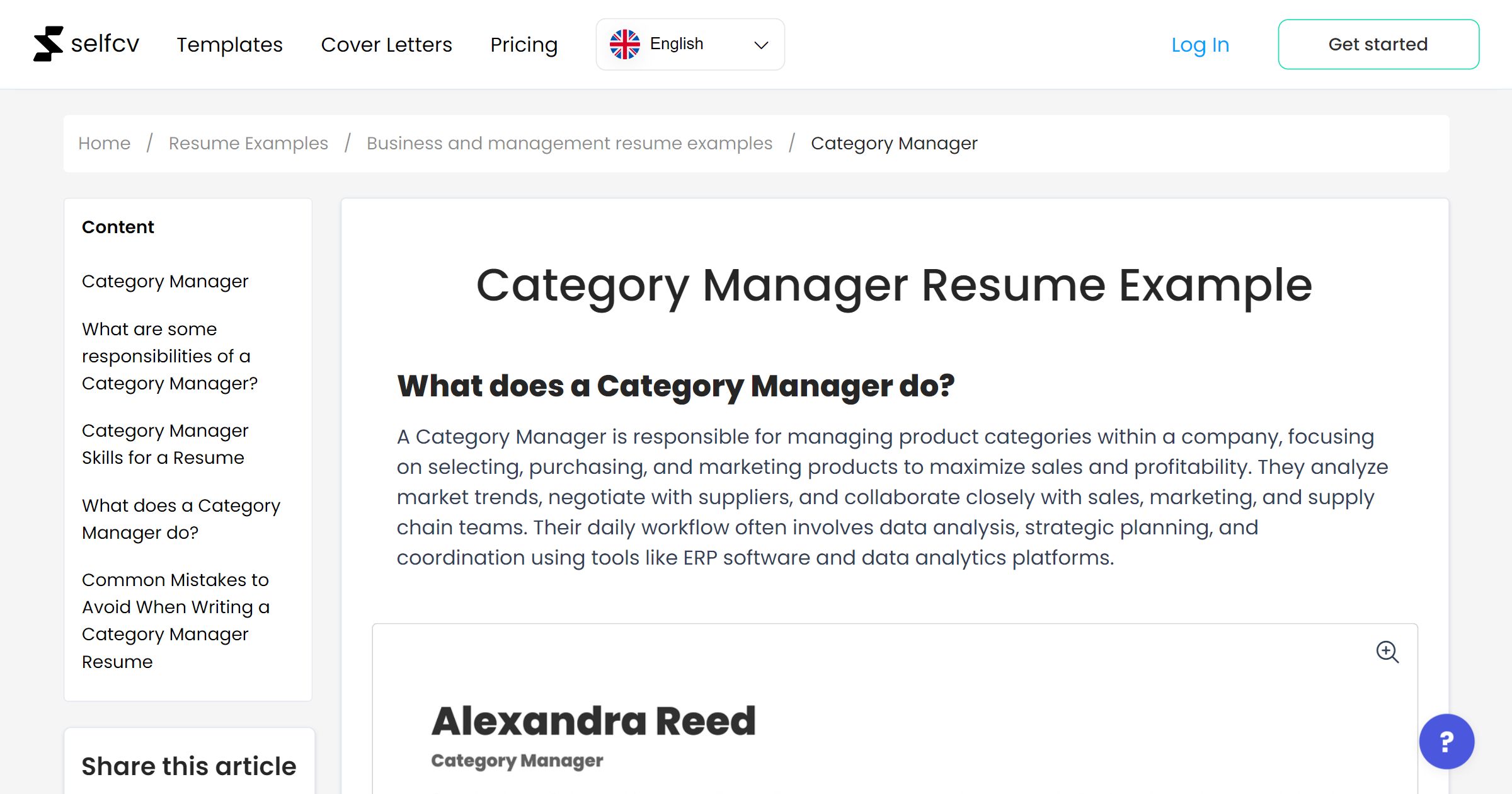 Category Manager Resume Example