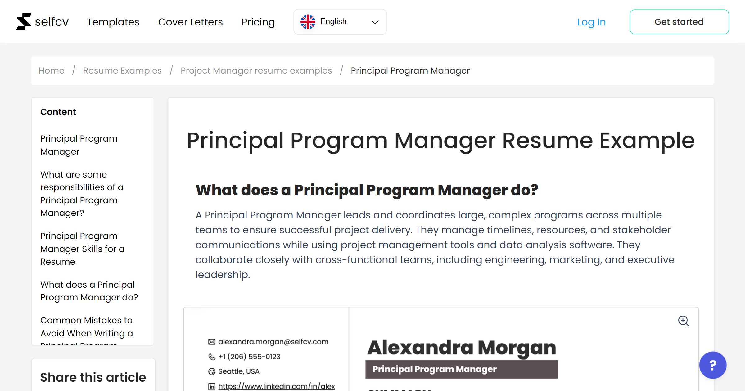 Principal Program Manager Resume Example