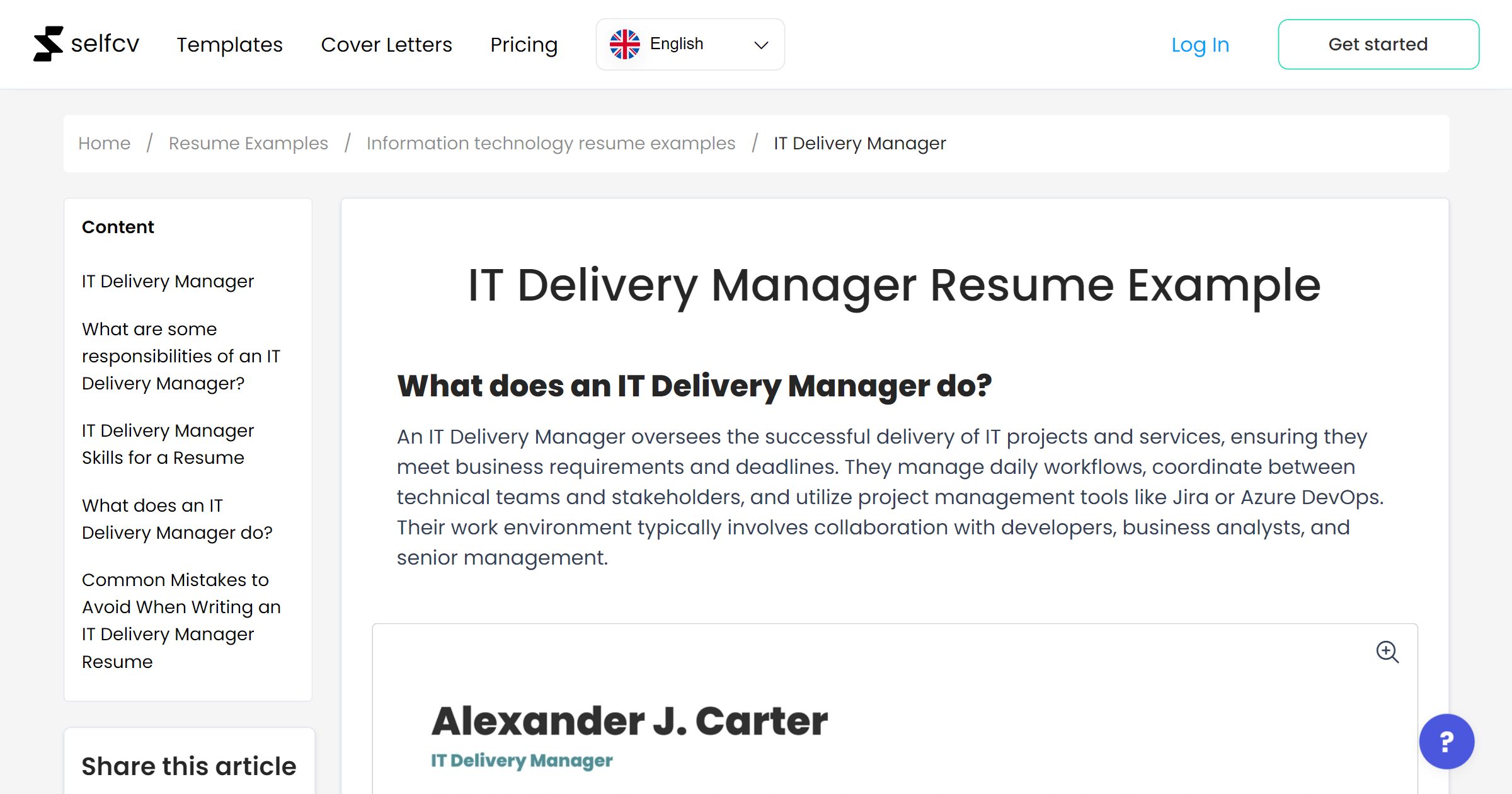 IT Delivery Manager Resume Example